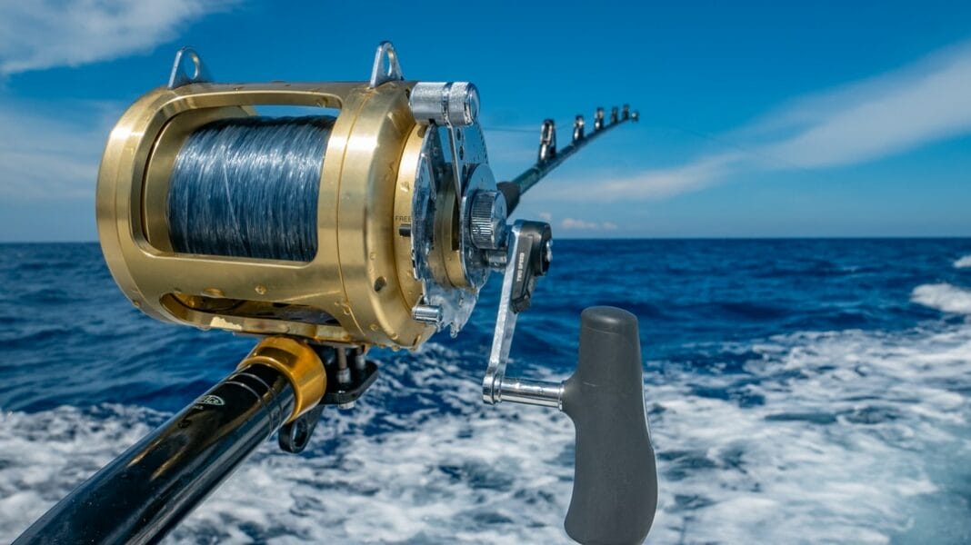 Tips on how to use your new fishing reel - Life in lines
